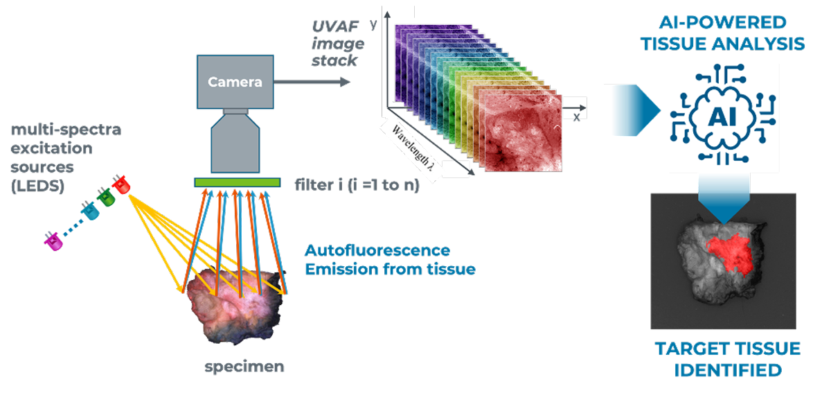 AURORA Multispectral Imaging - OncoLux Inc.